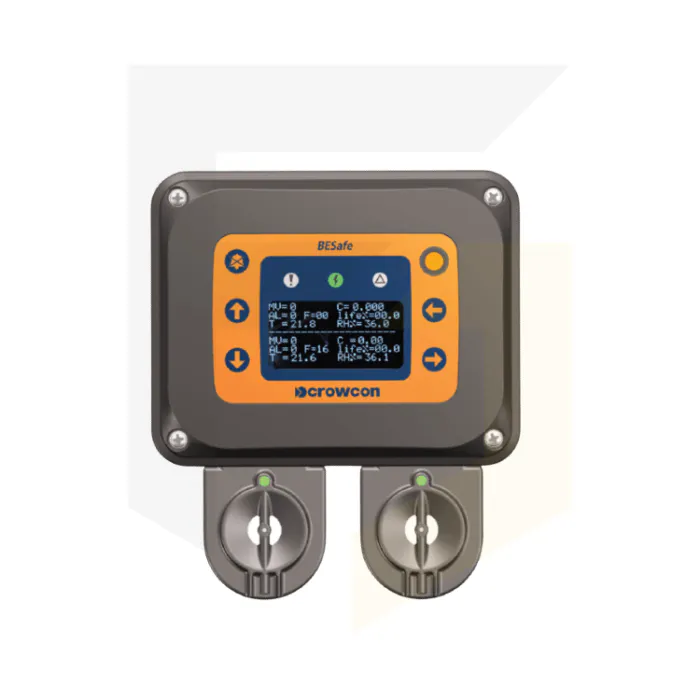 Crowcon BESafe Dual Channel Gas Detector