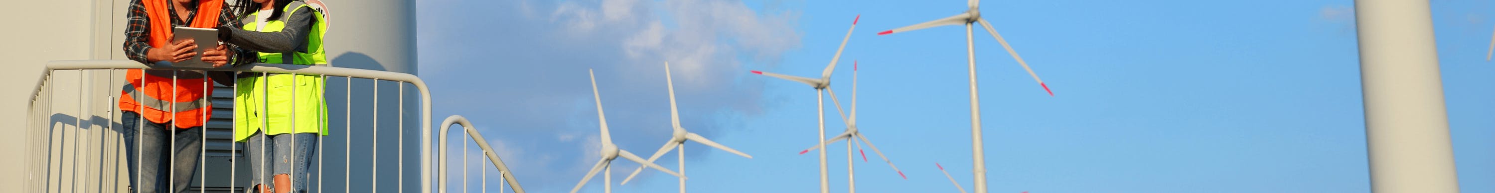 Safety for Onshore Wind Turbines